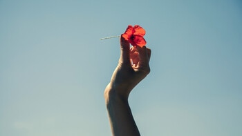 Why cultural integration is key to the longevity economy | World Economic Forum