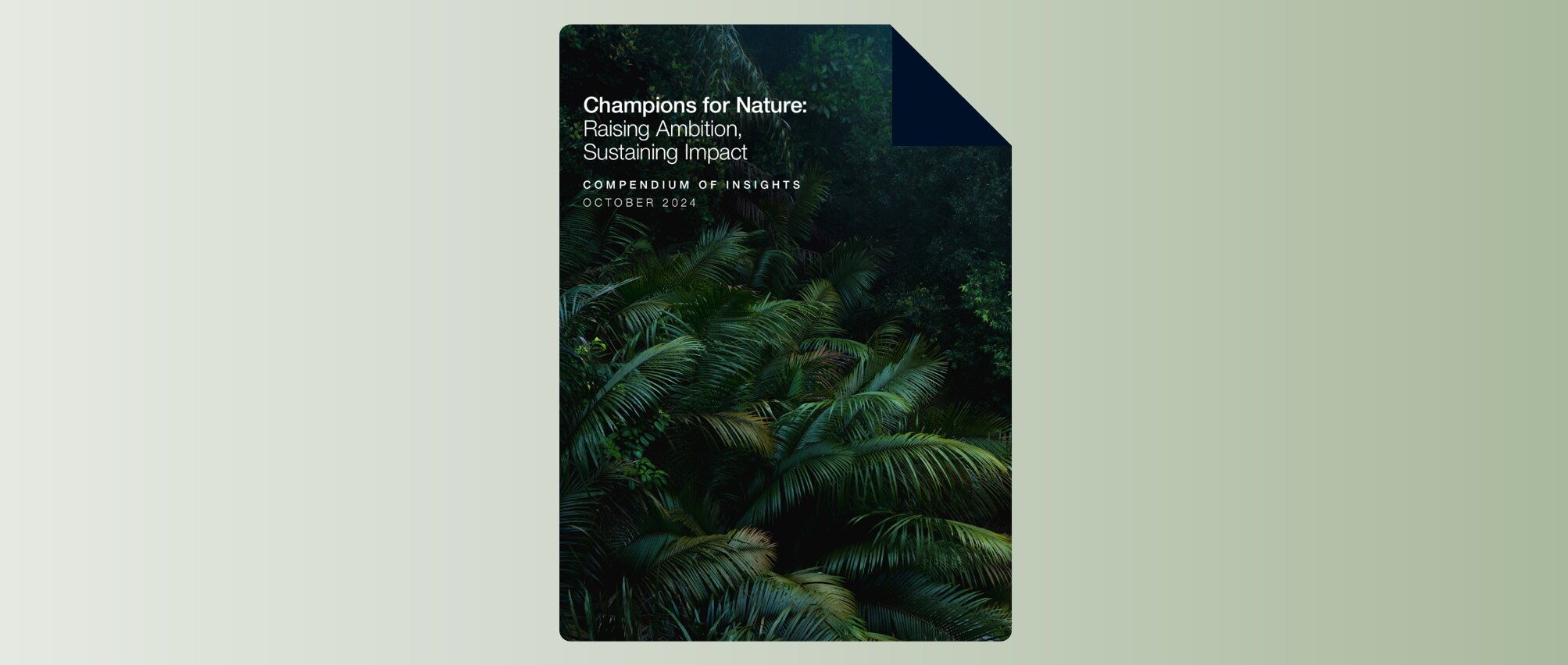 Knowledge Hub - Champions for Nature