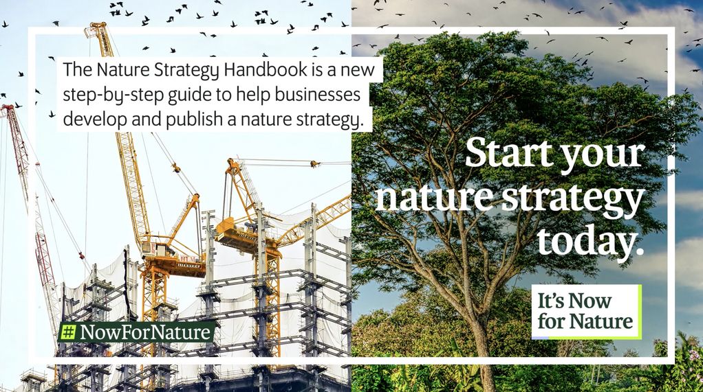 Knowledge Hub - Champions for Nature