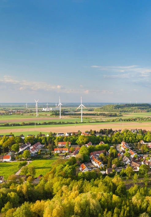 Insights & Resources - Net Zero Carbon Cities