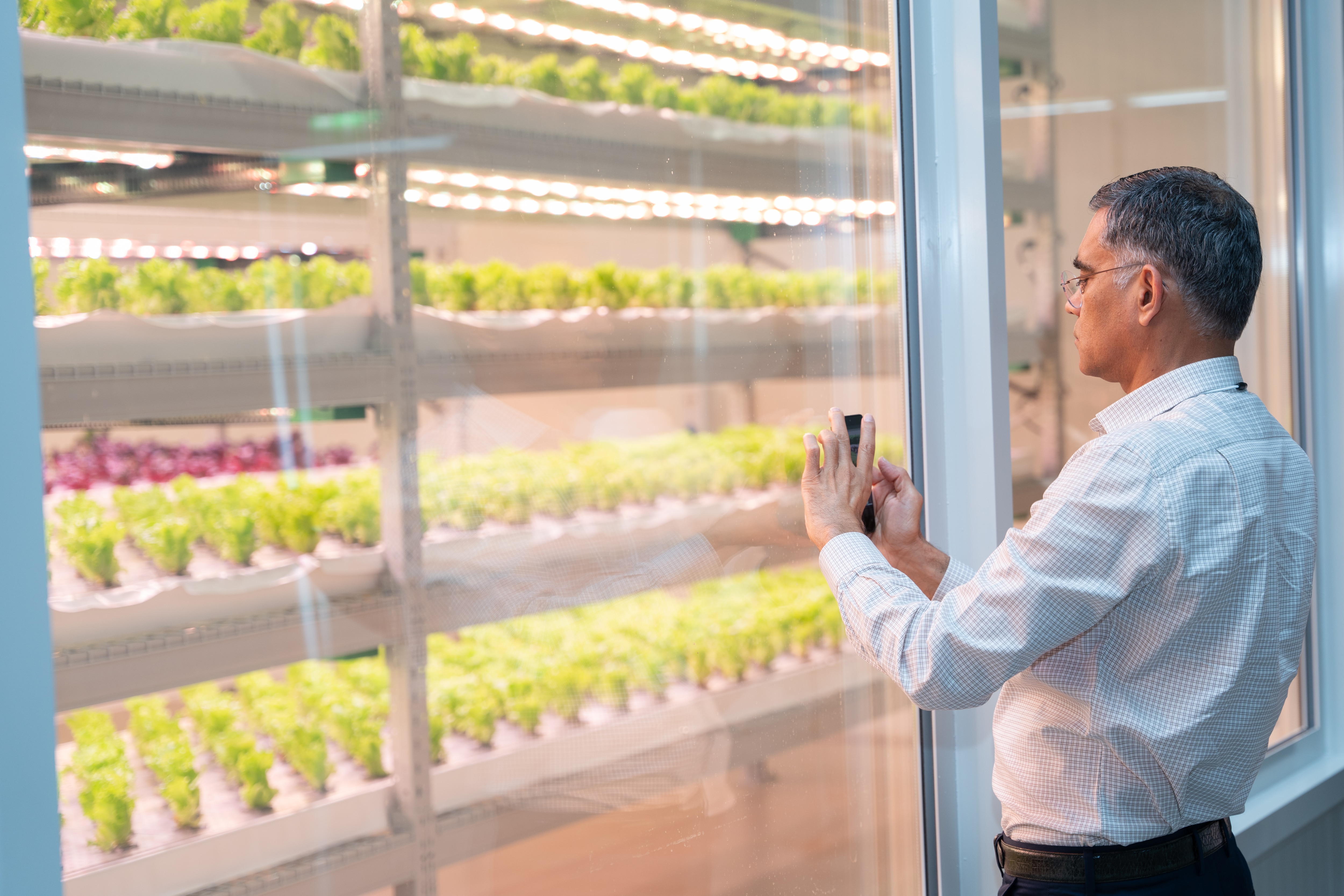 Global food innovation summit in Dubai 2024 reimagining the future of foods