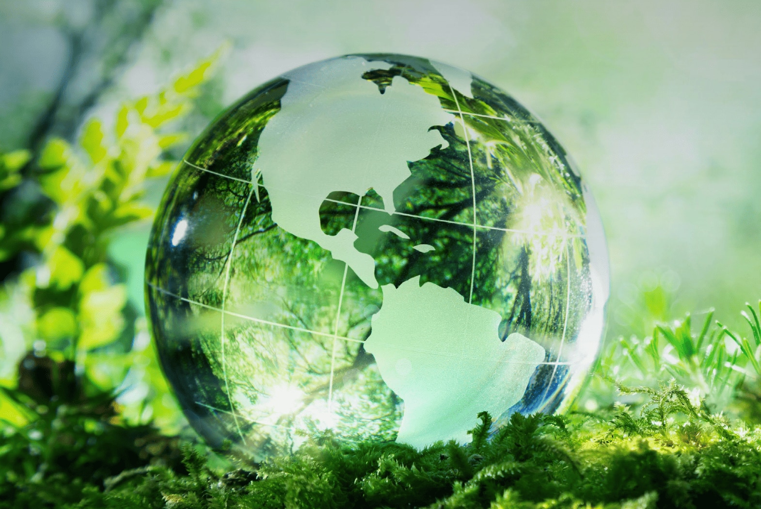 Stakeholder Metrics Initiative - Home