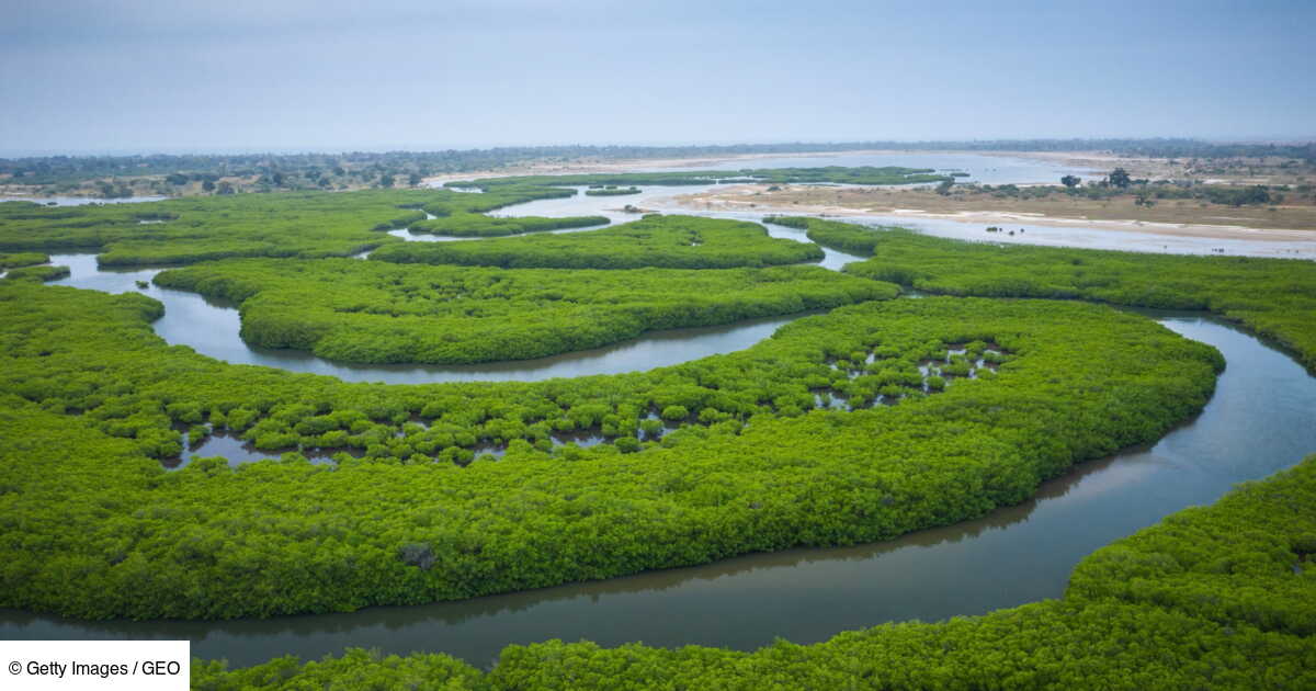Senegal - Global Plastic Action Partnership