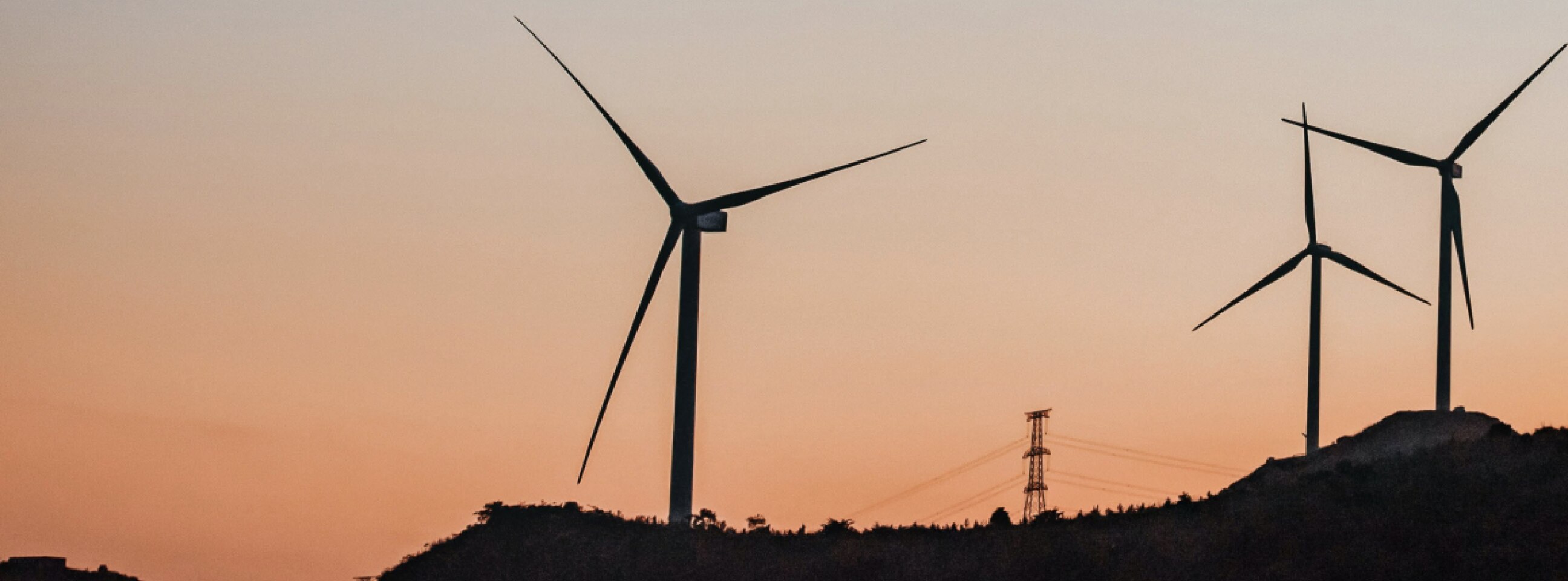 Alliance for Clean Air - Home