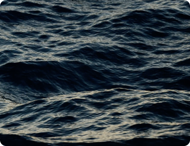 Impact Network Forum Space