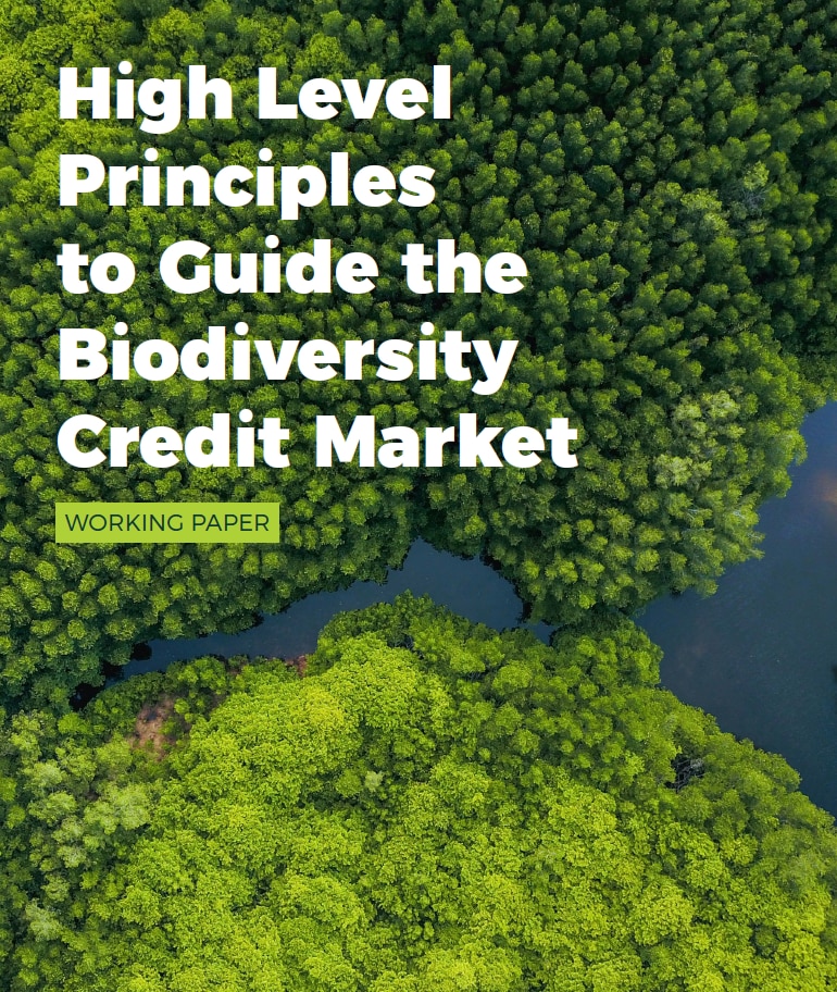 Biodiversity Credits | Financing for Nature