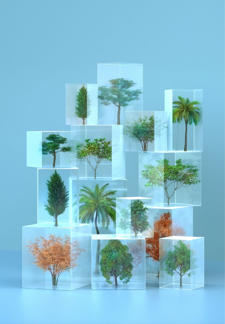 Biodiversity Credits | Financing for Nature