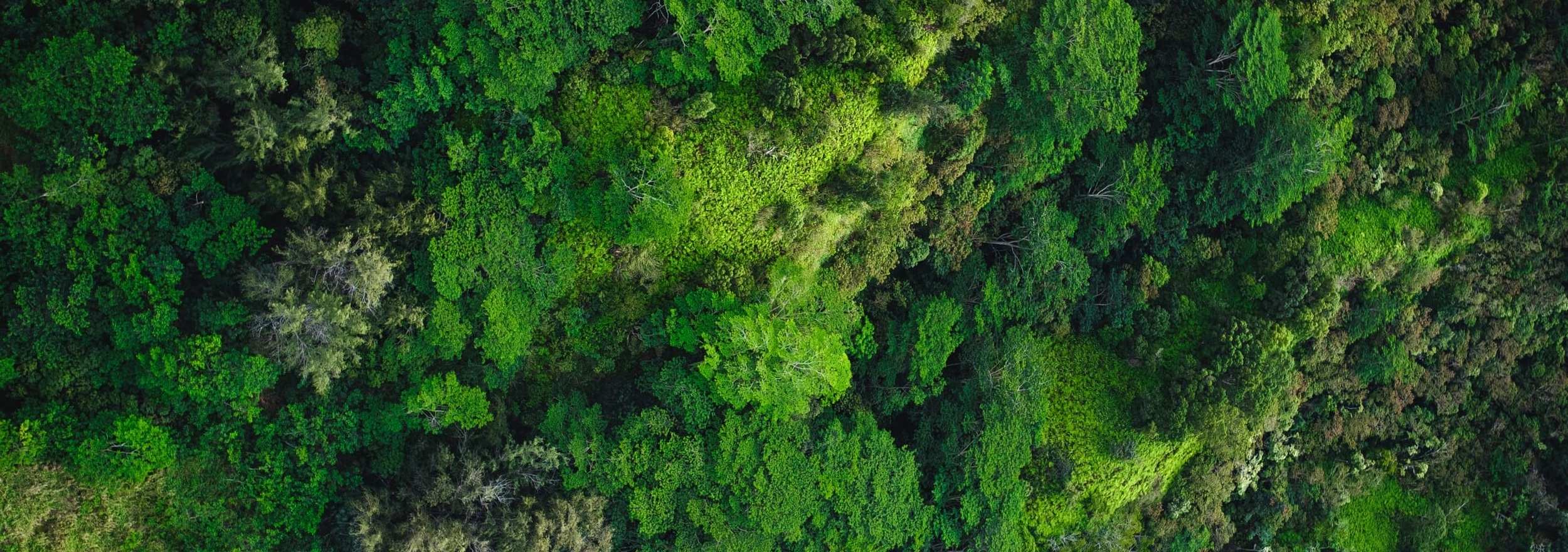 Alliance of CEO Climate Leaders - Downstream Solutions Challenge