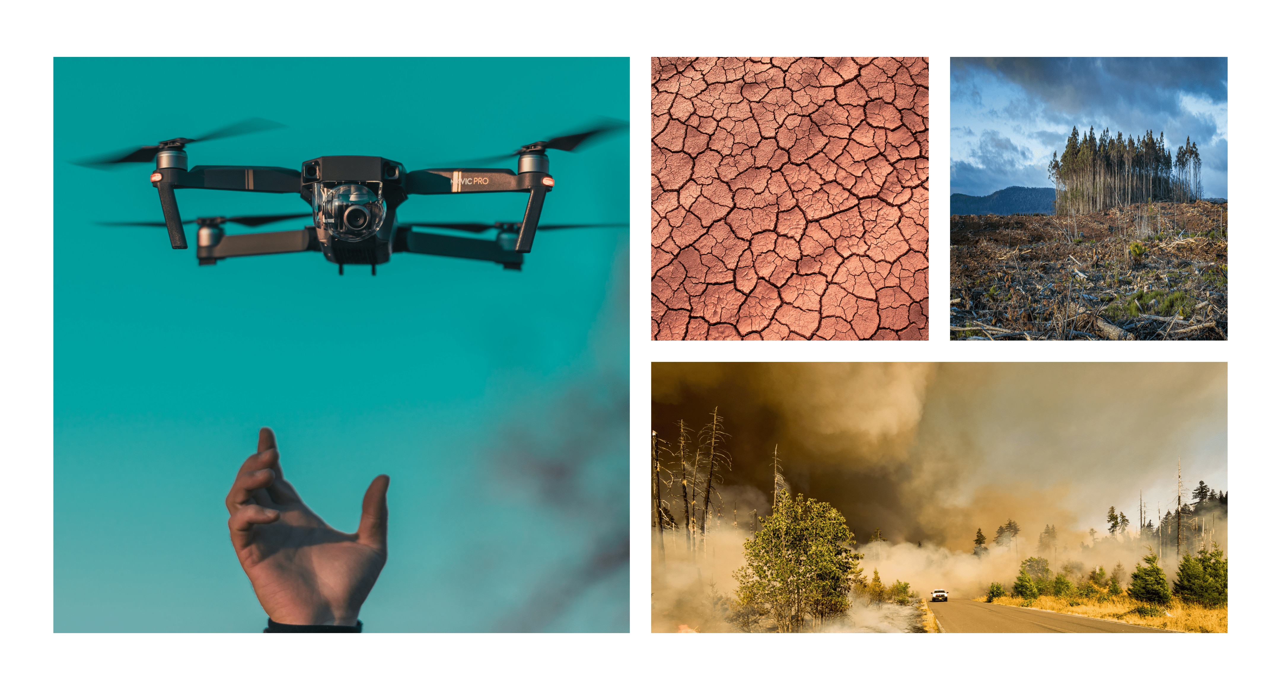 Tech for Climate Adaptation is leveraging advanced technology to combat ...