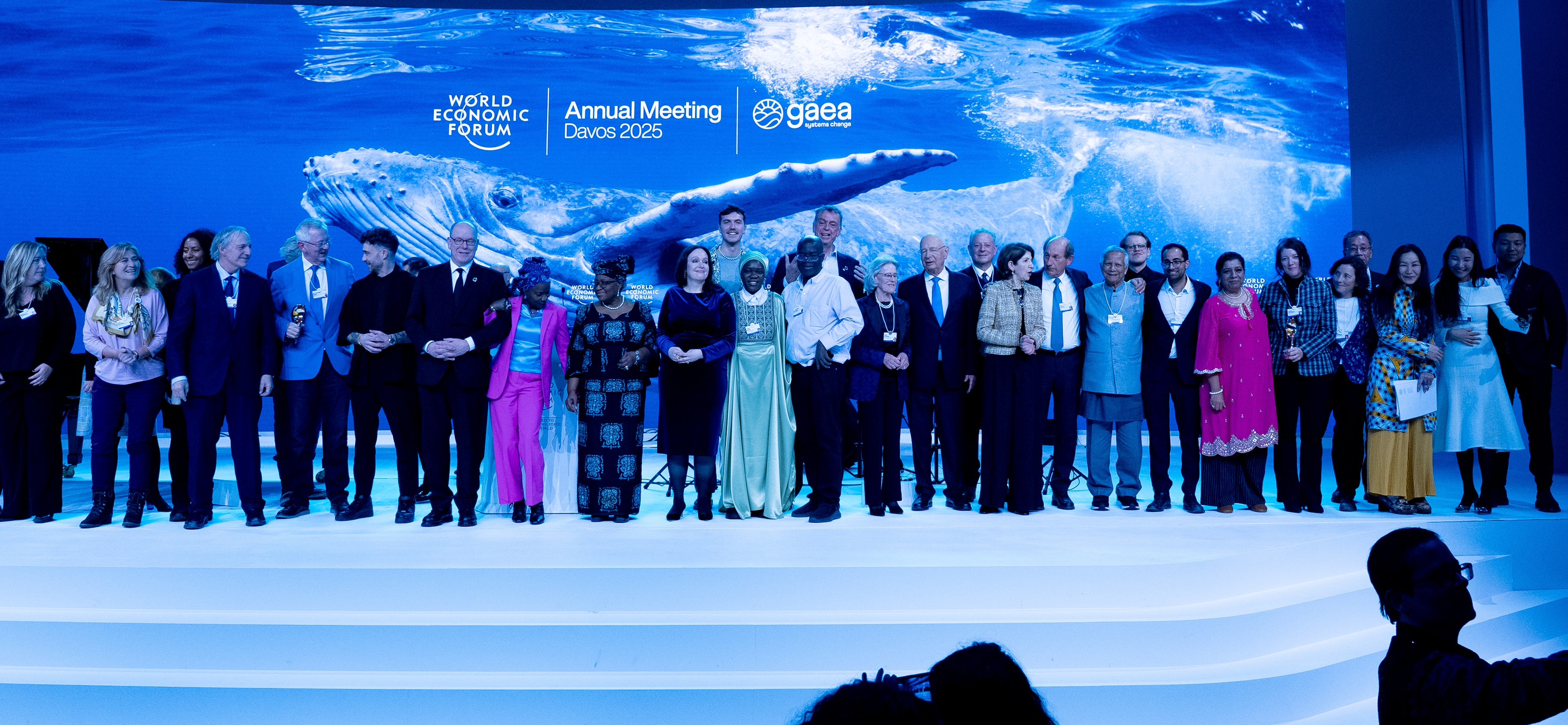 GAEA Awards | Process