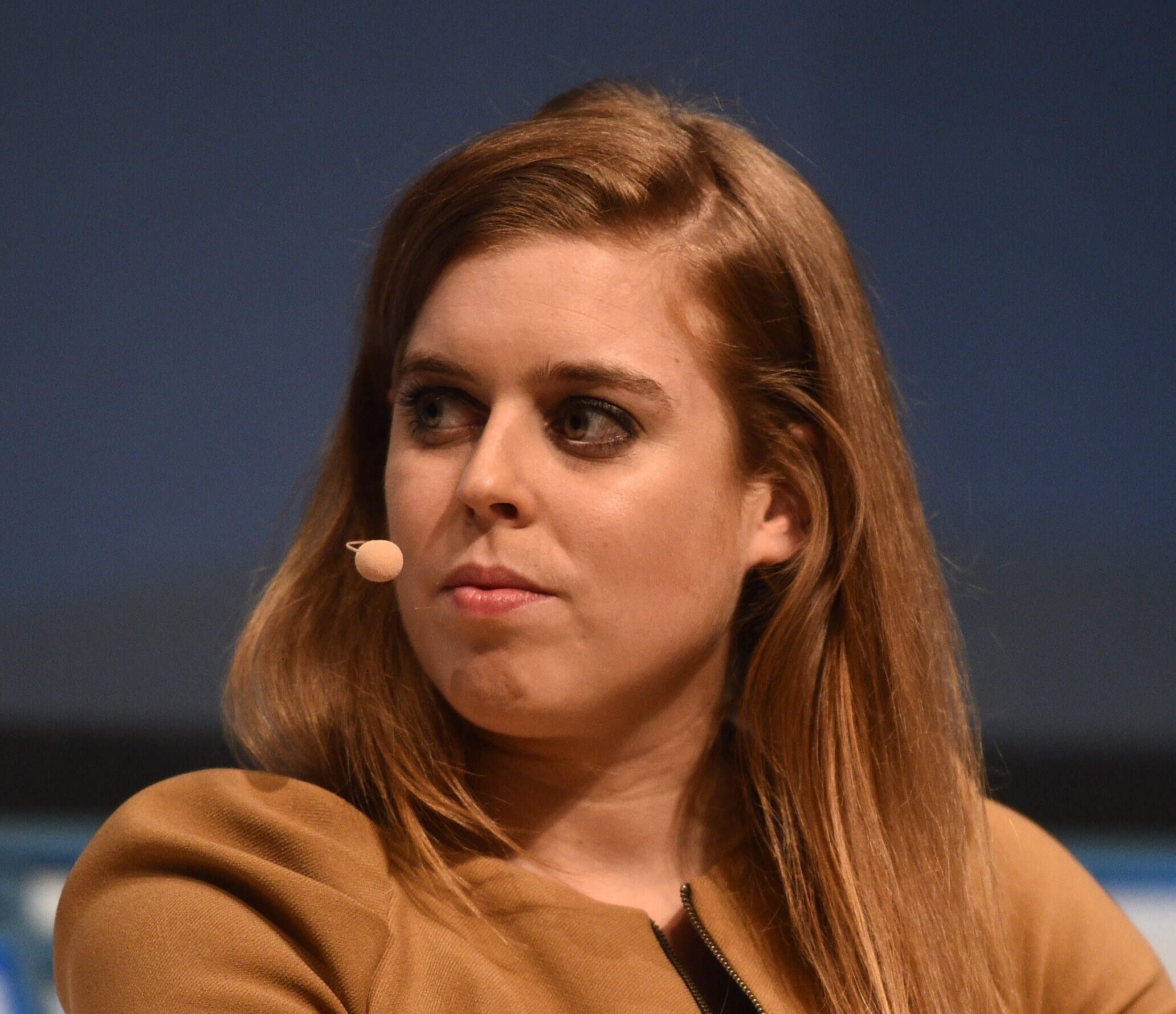 GAEA - Giving to Amplify Earth Action - Home