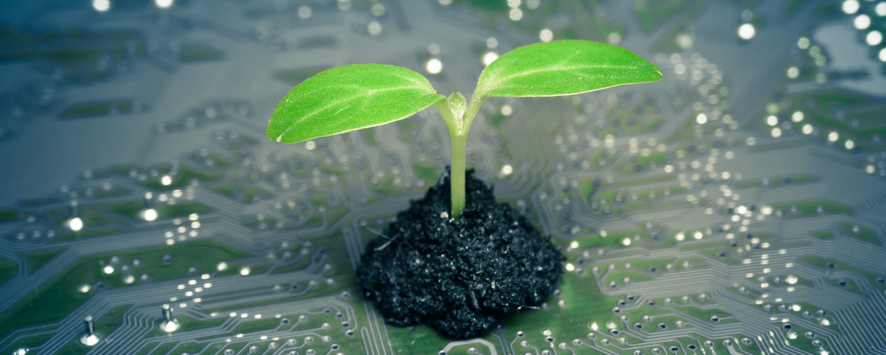 The Future of Growth Initiative