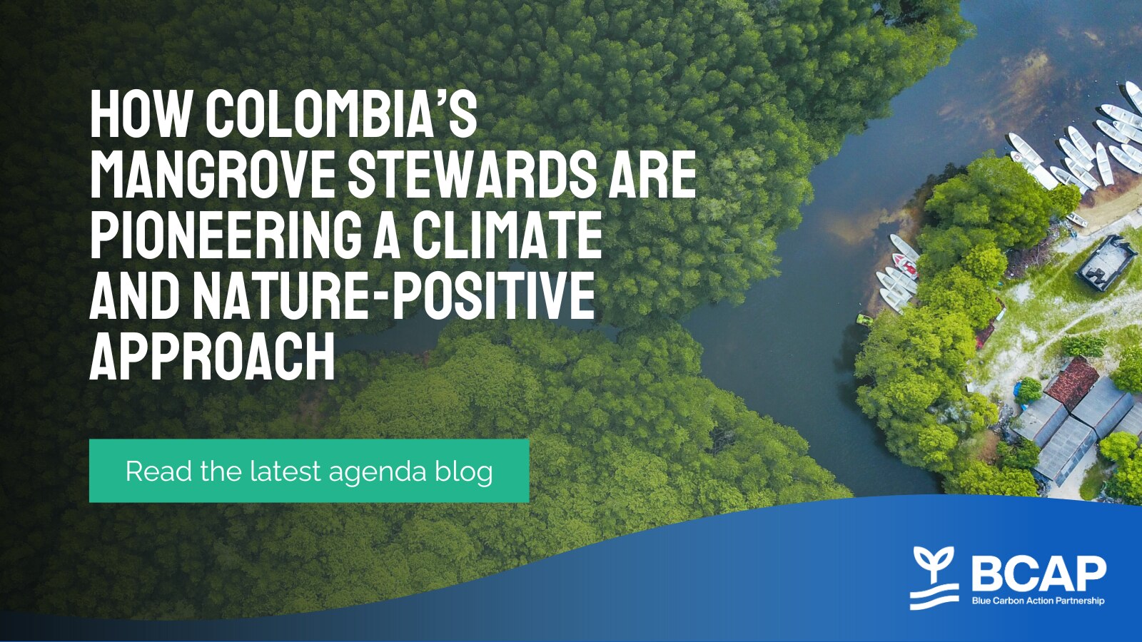 Blue Carbon Action Partnership Resources