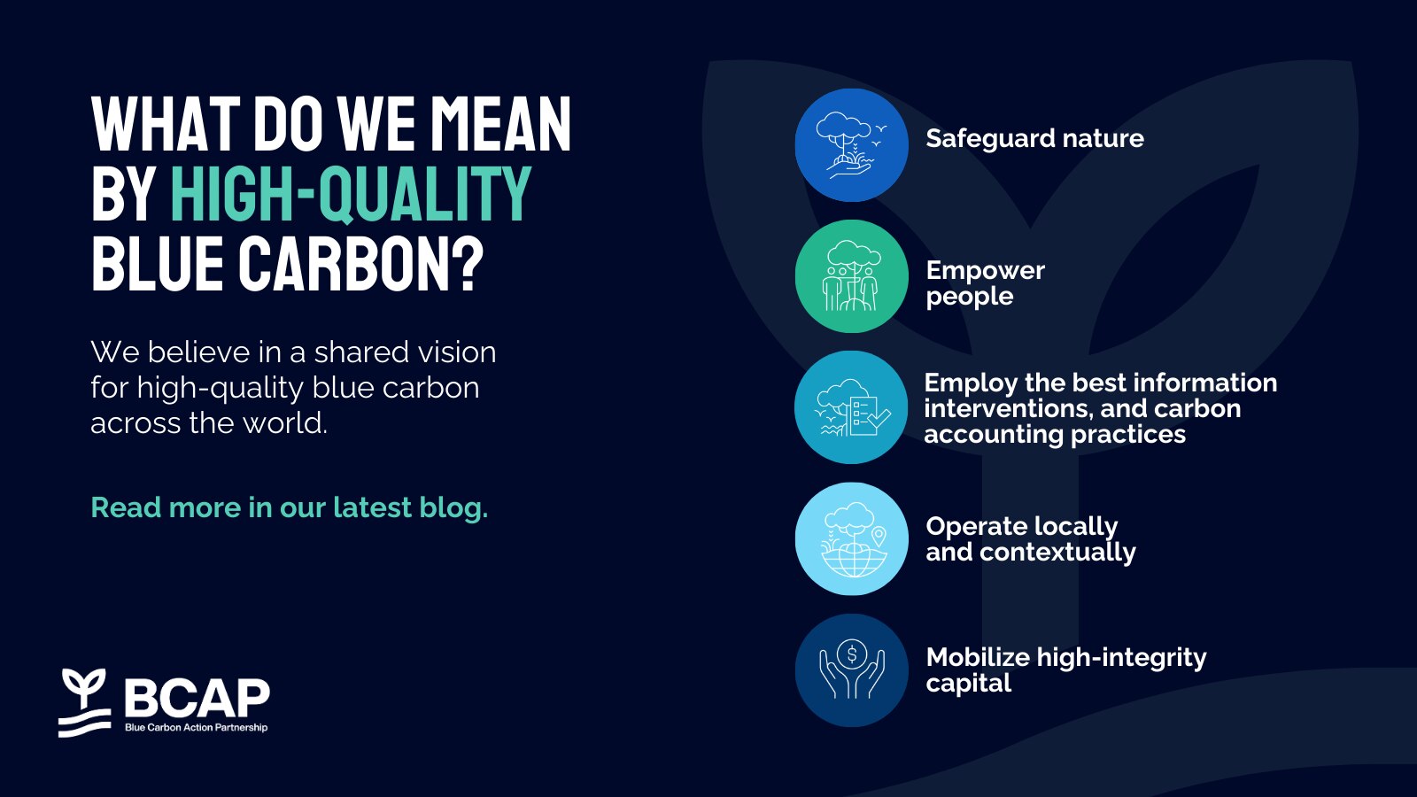 Blue Carbon Action Partnership - About