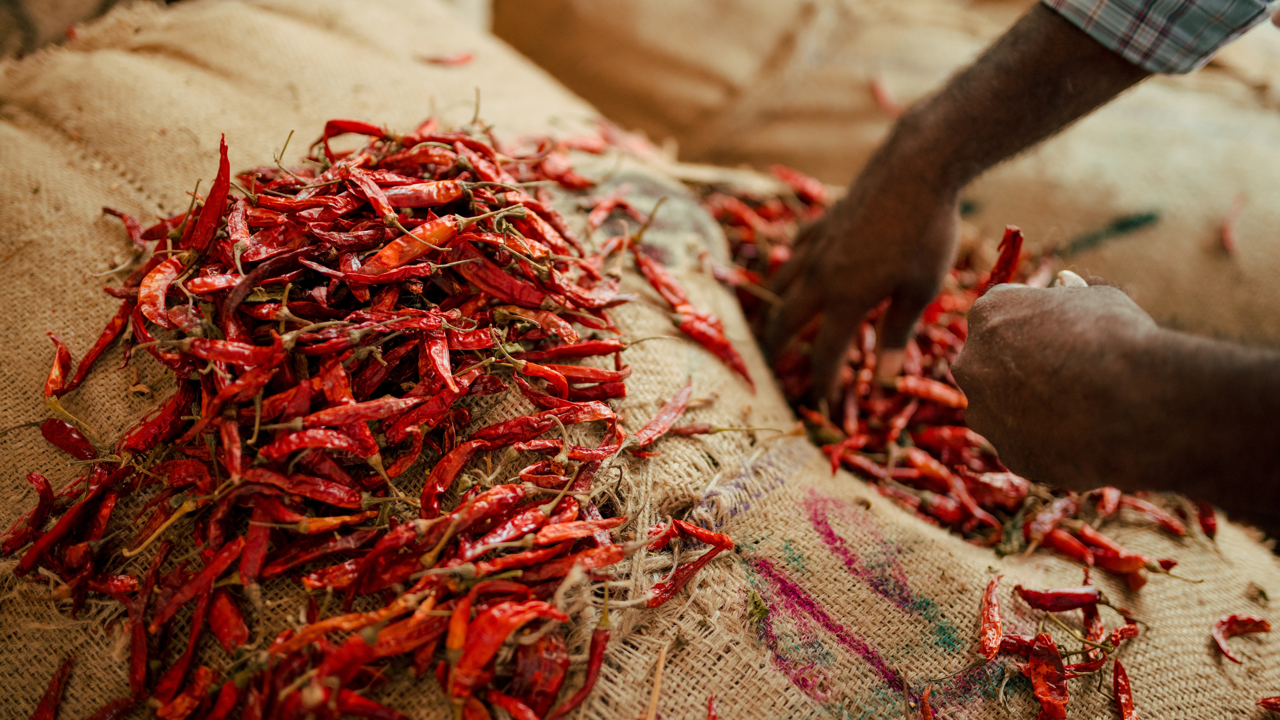 Digital Agriculture Value Chain Solutions