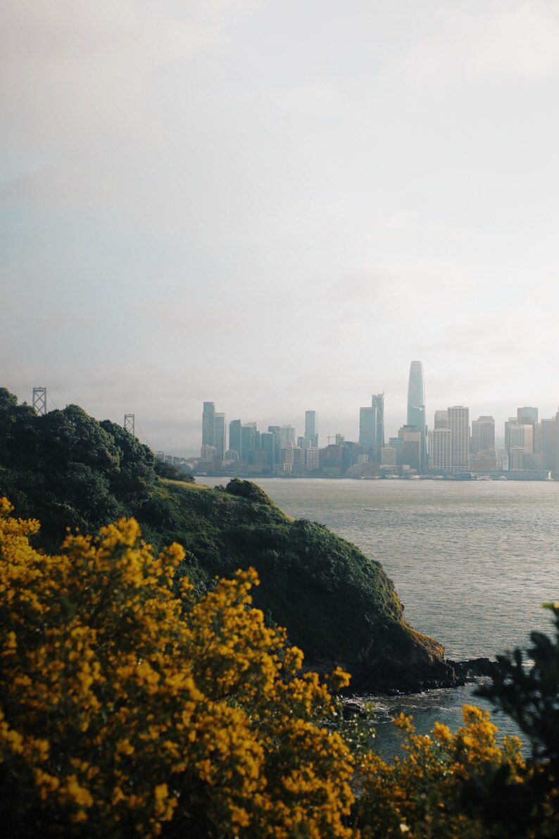 Nature-Positive Cities - Insights