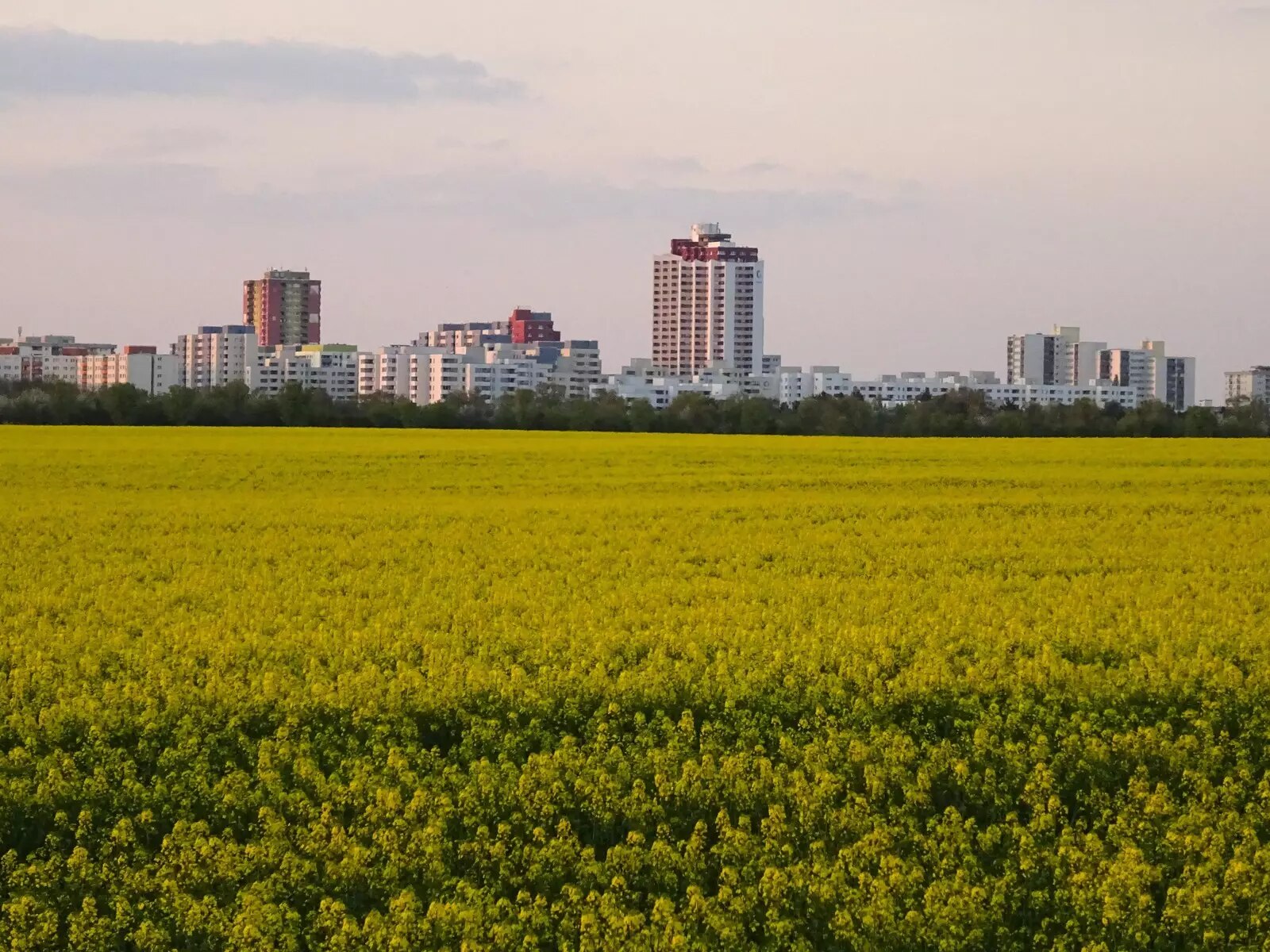 Nature-Positive Cities - Insights