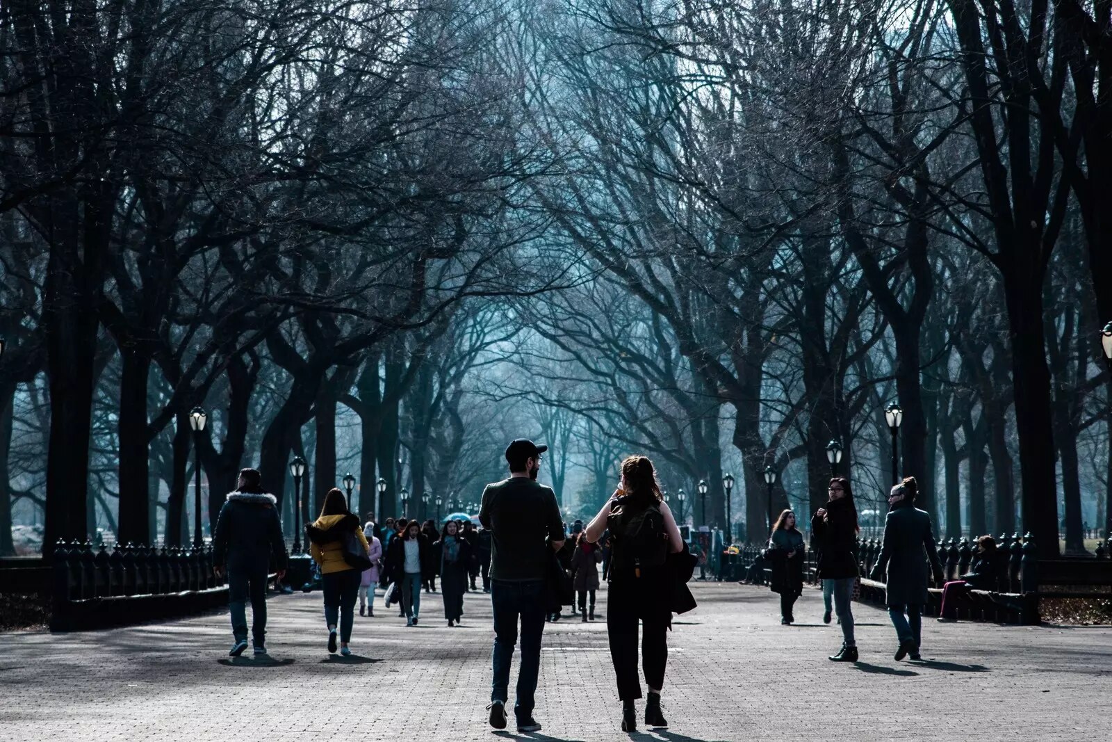 Nature-Positive Cities - Insights