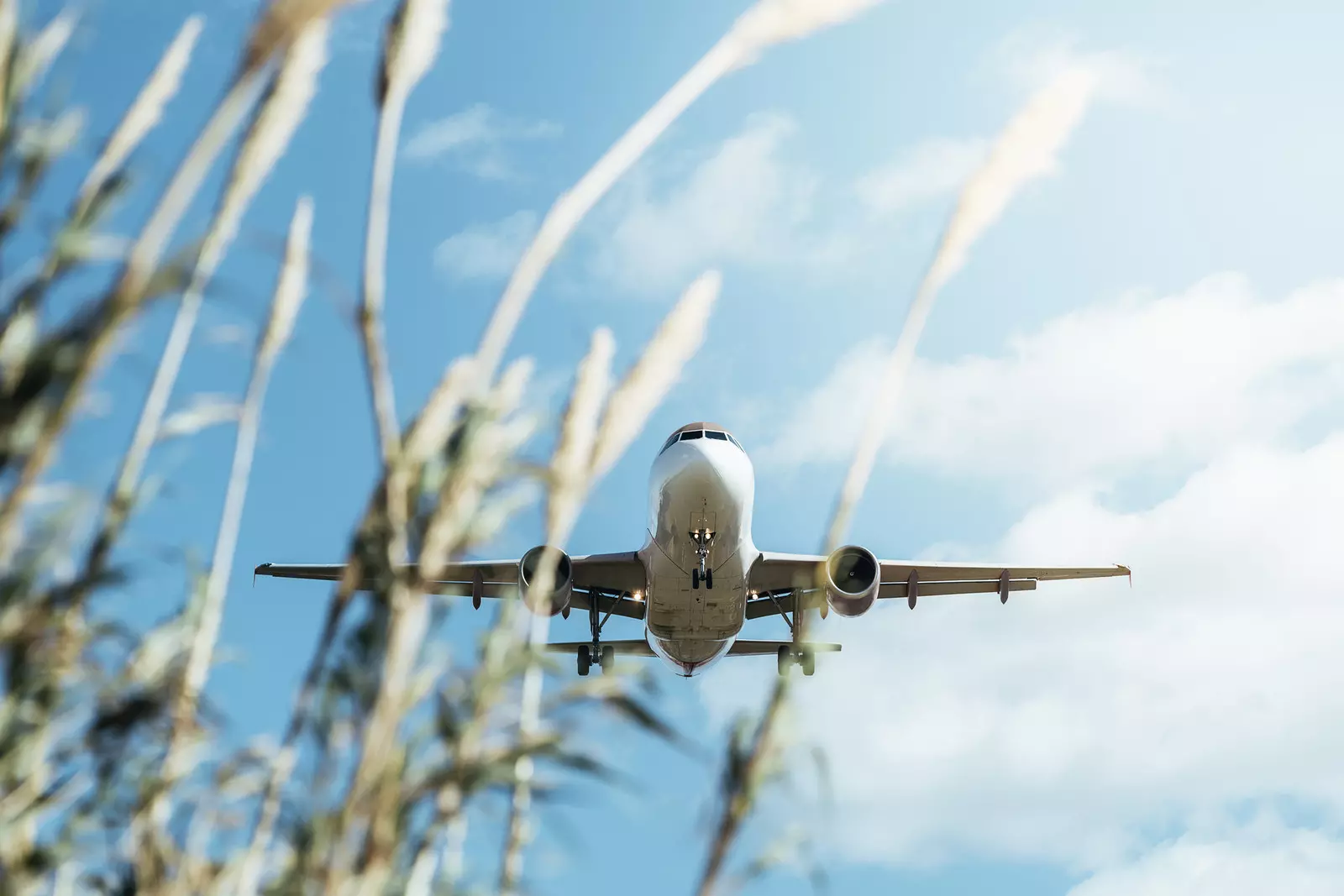 Home | Airports of Tomorrow