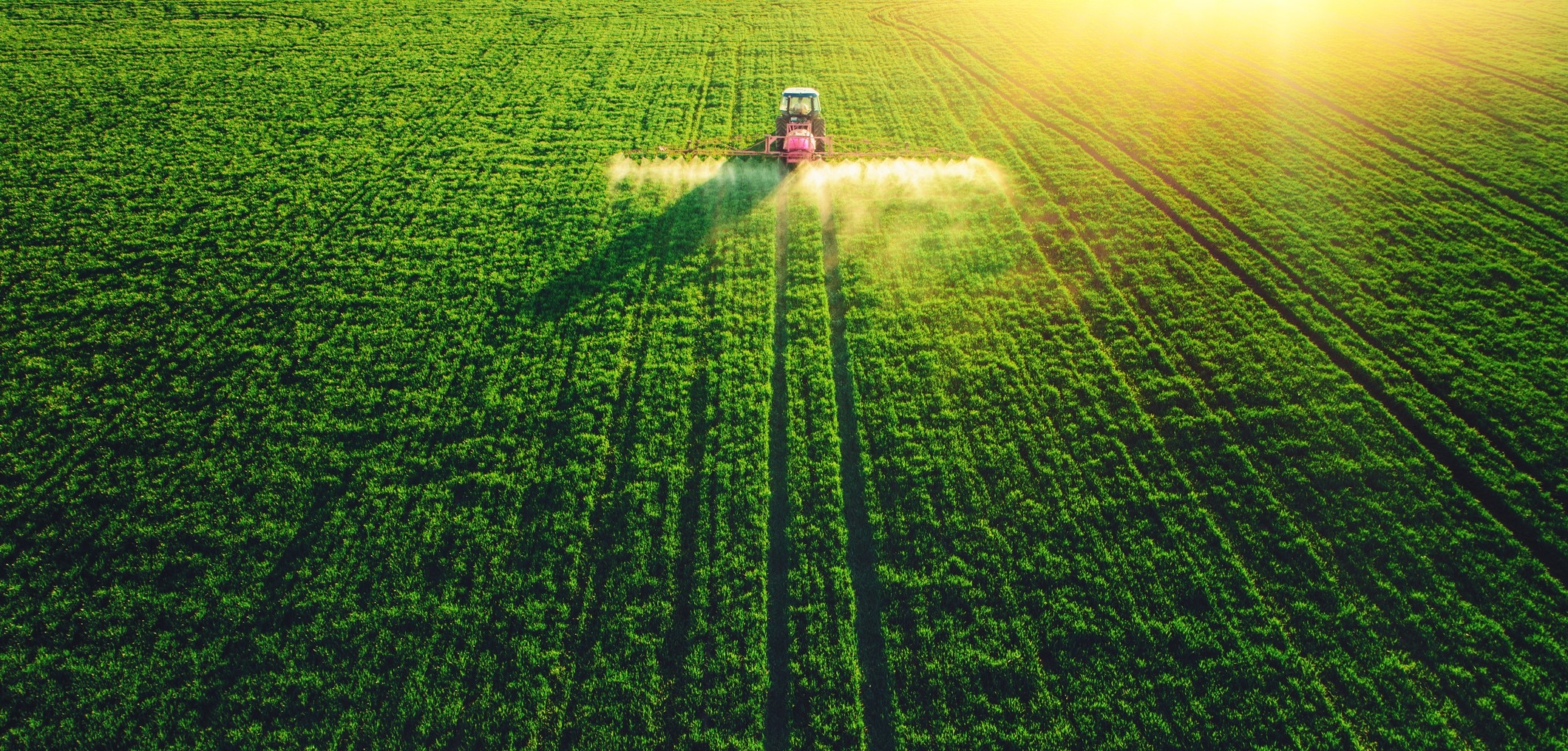 Take action for people and the planet: accelerating the global ...