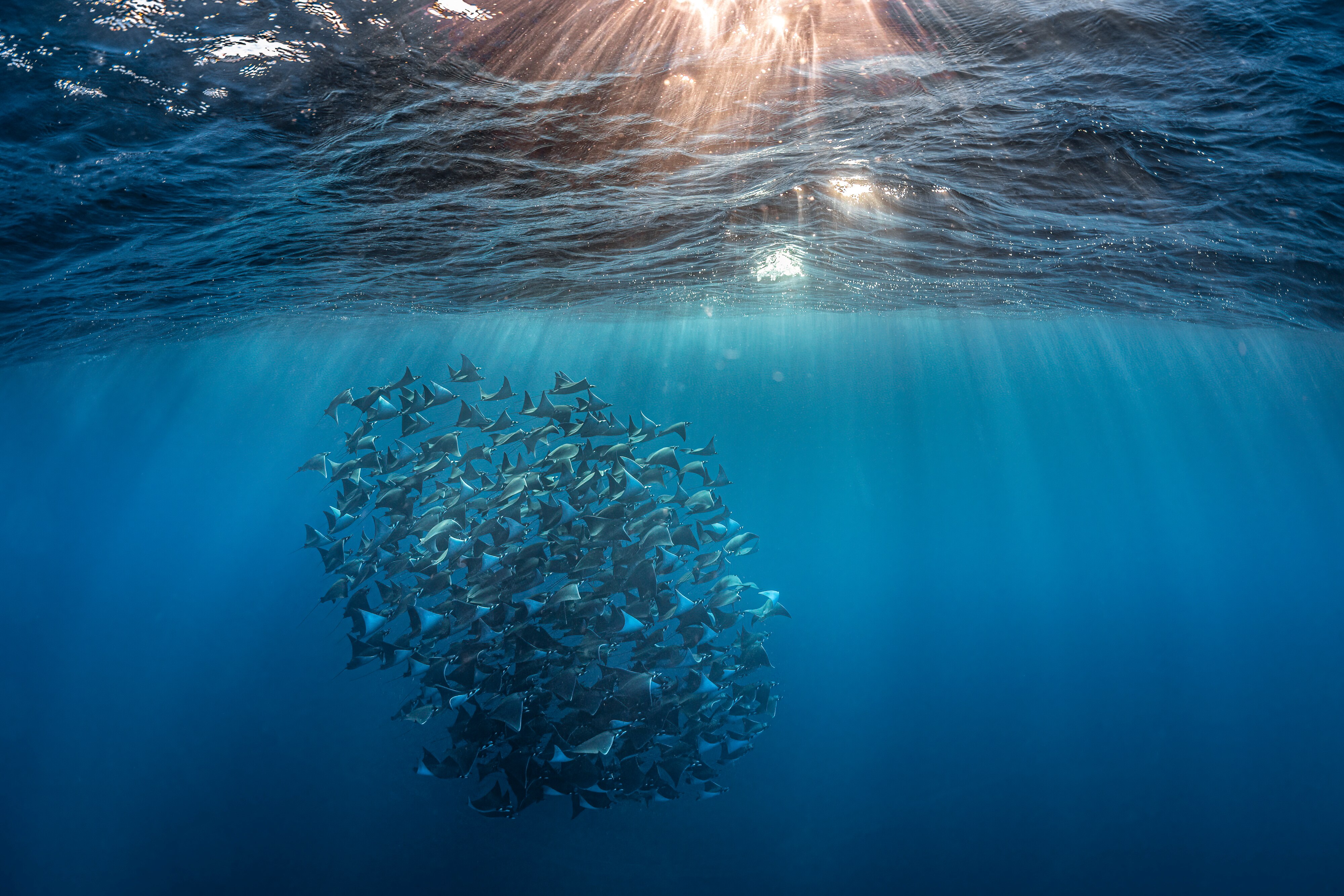 About the Ocean Action Agenda