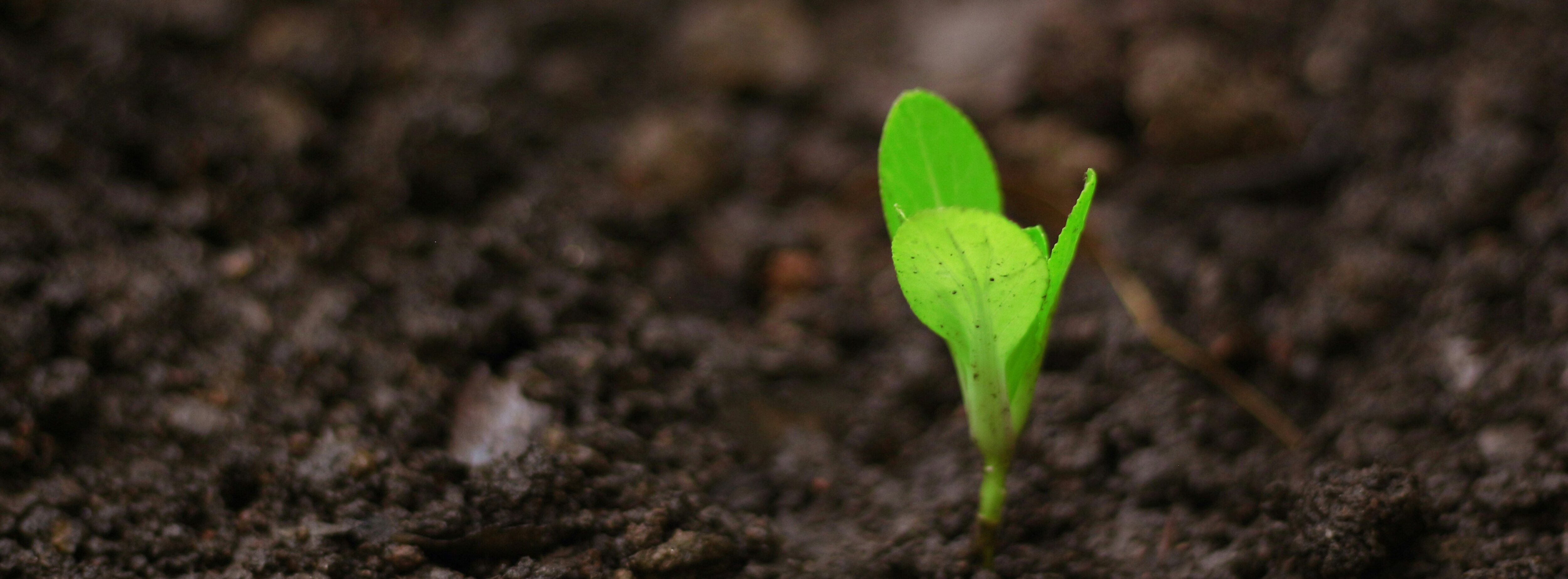 Home - Climate Change and Health