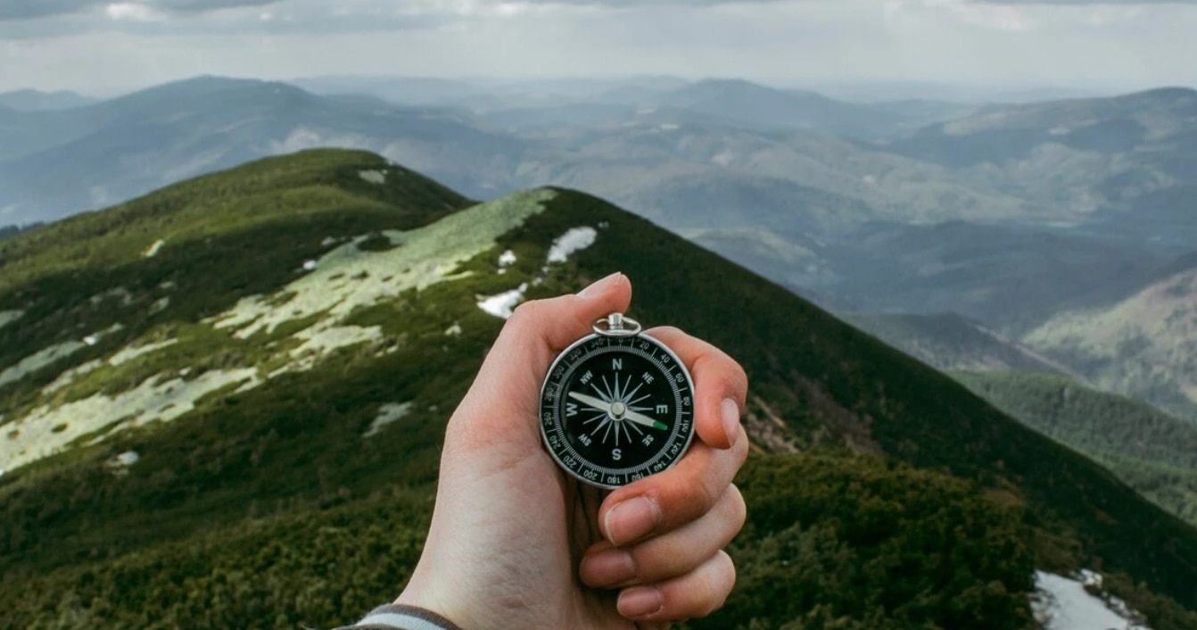 Global Foresight Network | Insights