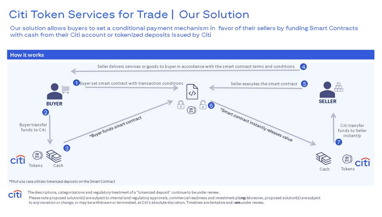 Payments to Advance Growth for All (PAGA) - PAGA Case - Citi Token Services