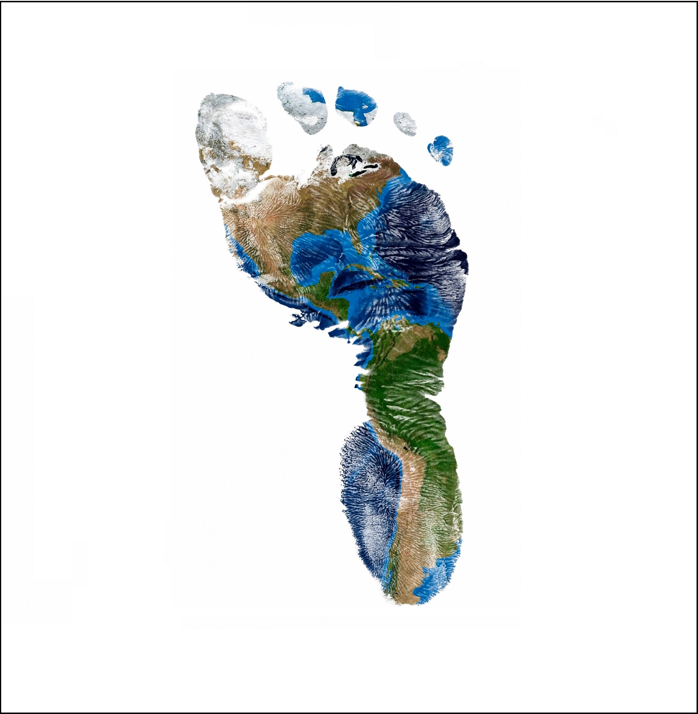 Key sustainability concepts and terminology