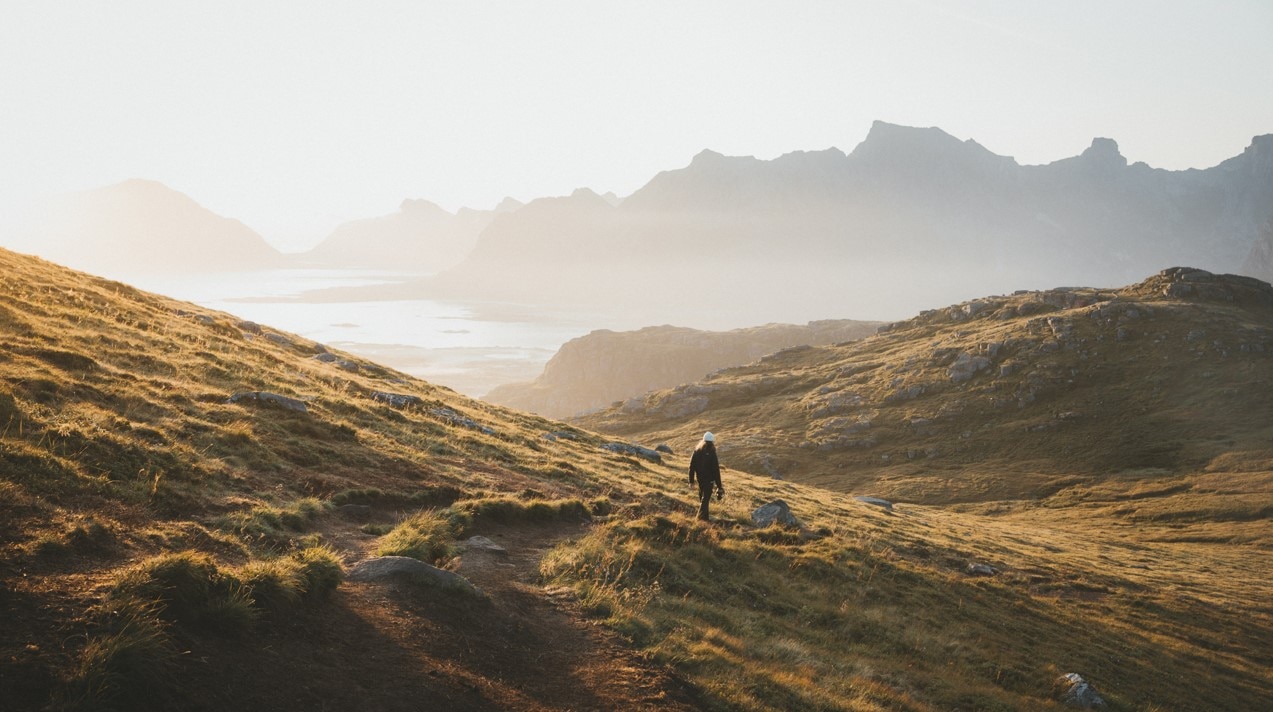 Net-Zero Value Chain - Support Hub - Vestas