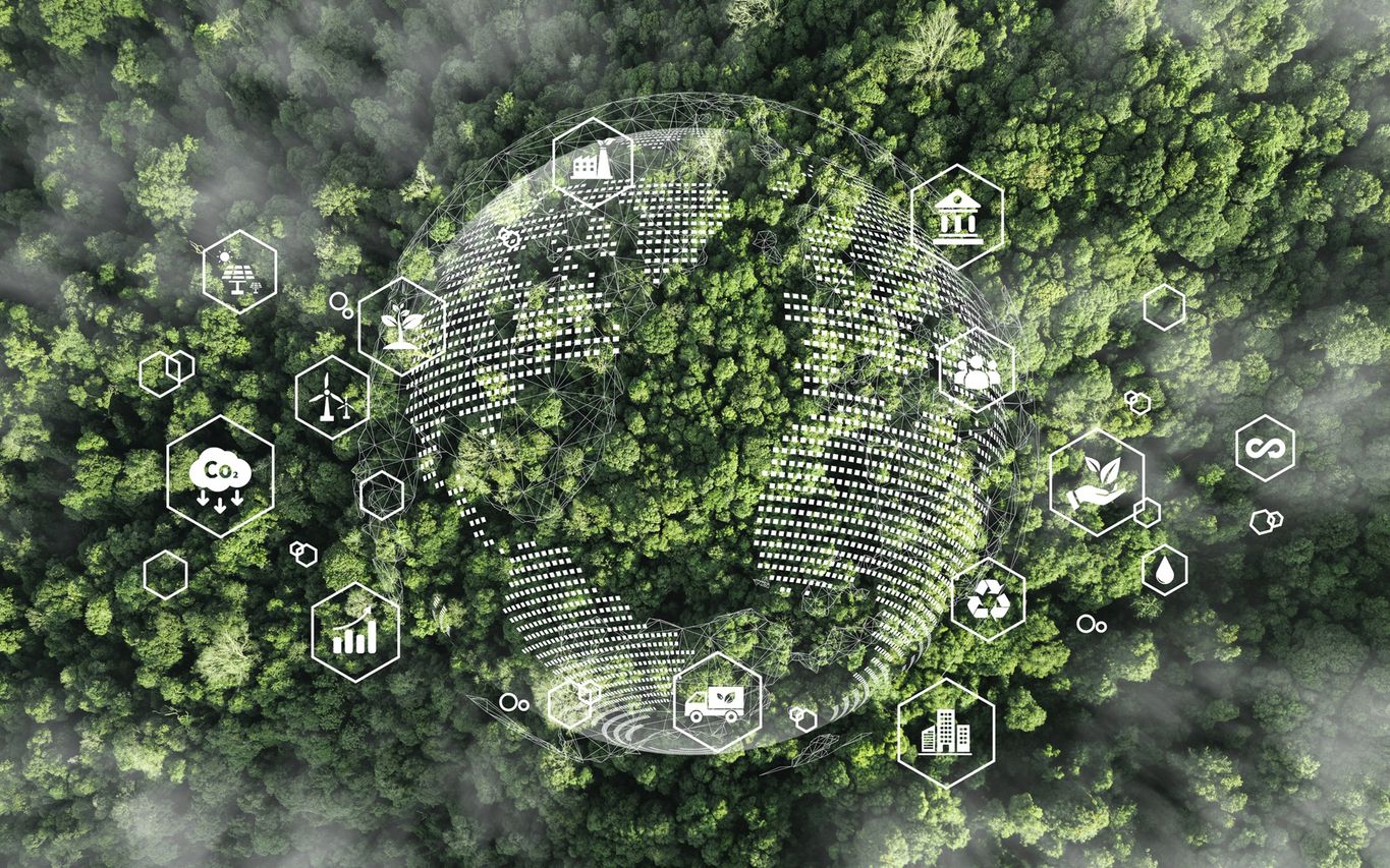 Global Future Council on Forest Economy