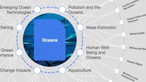Direct Ocean Capture: A new way to remove CO2 from the sea | World ...