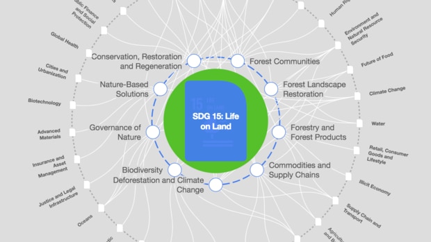 What is desertification and why is it important to understand? | World ...