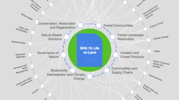 How many humans have ever existed? New study has answer | World ...