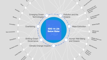 11 innovations protecting life below water and above it | World ...