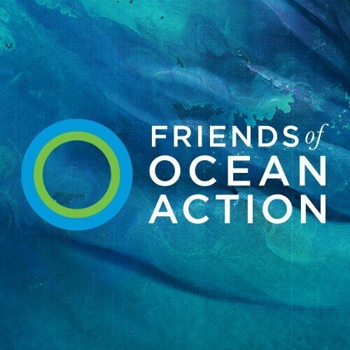 Resources > Friends of Ocean Action | World Economic Forum