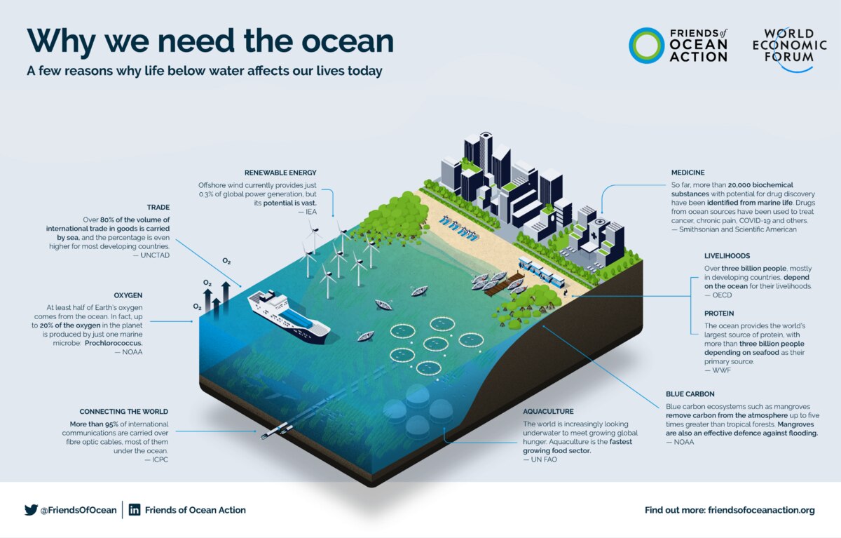 #BlueThread Campaign Assets > Friends of Ocean Action | World Economic ...