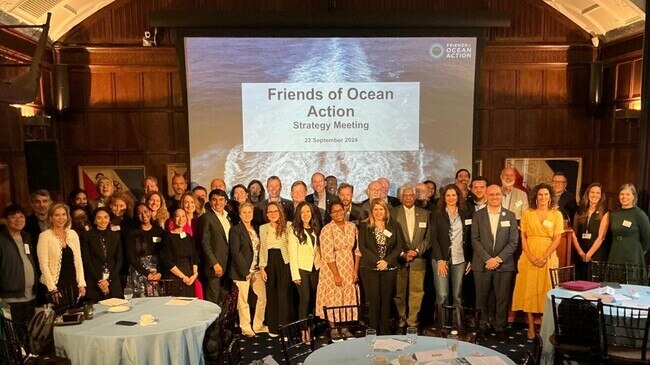 FRIENDS OF OCEAN ACTION > Friends of Ocean Action | World Economic Forum