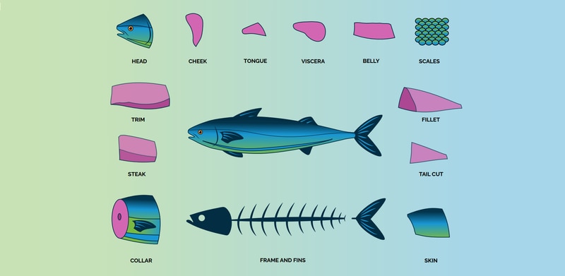 First outcomes from Nourishing Billions project on repurposing seafood ...