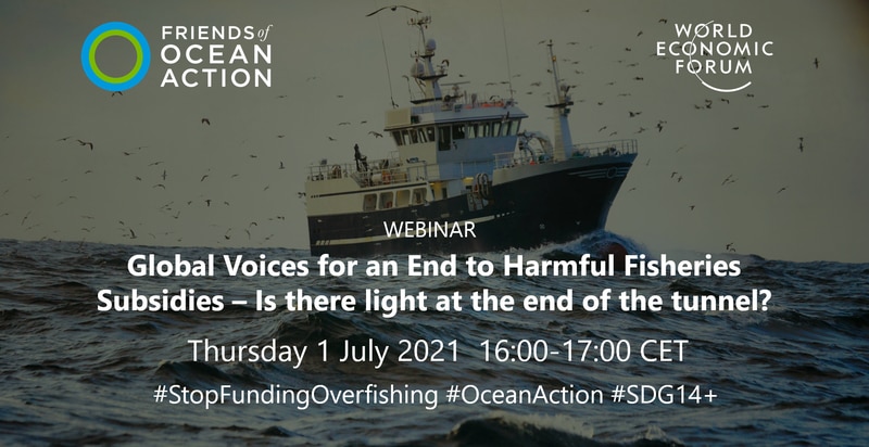 Friends of Ocean Action raises rally cry from global voices to end ...