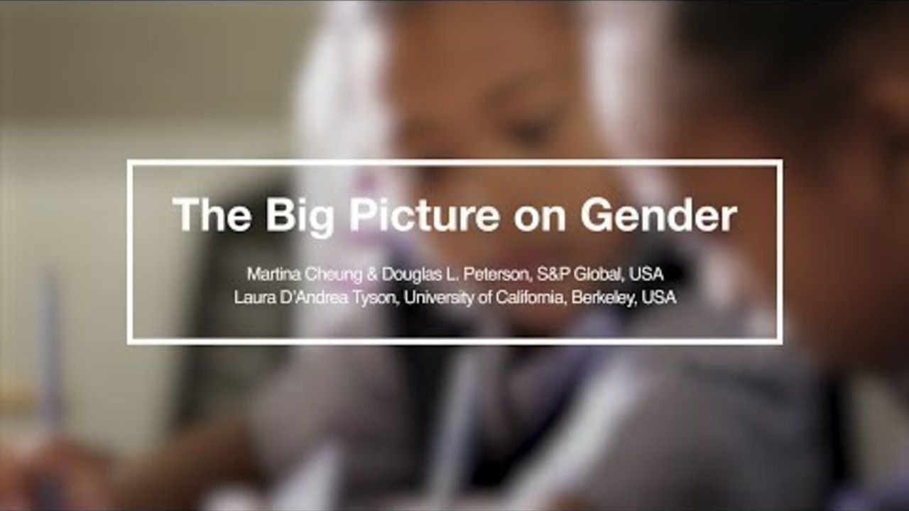 Am19 Global Situation Space The Big Picture On Gender World