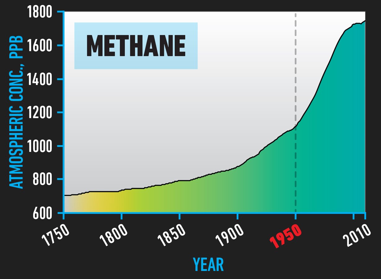 24 charts every leader should see | World Economic Forum