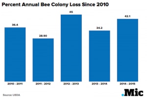 Why is America’s bee population collapsing? | World Economic Forum