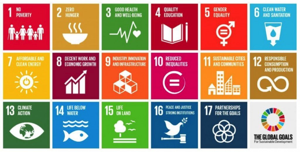 To prevent the SDGs from failing, think of them as one cause | World ...