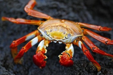The five biggest threats to our oceans | World Economic Forum
