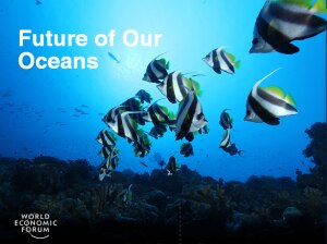 Why we need a Ministry of Ocean Affairs | World Economic Forum